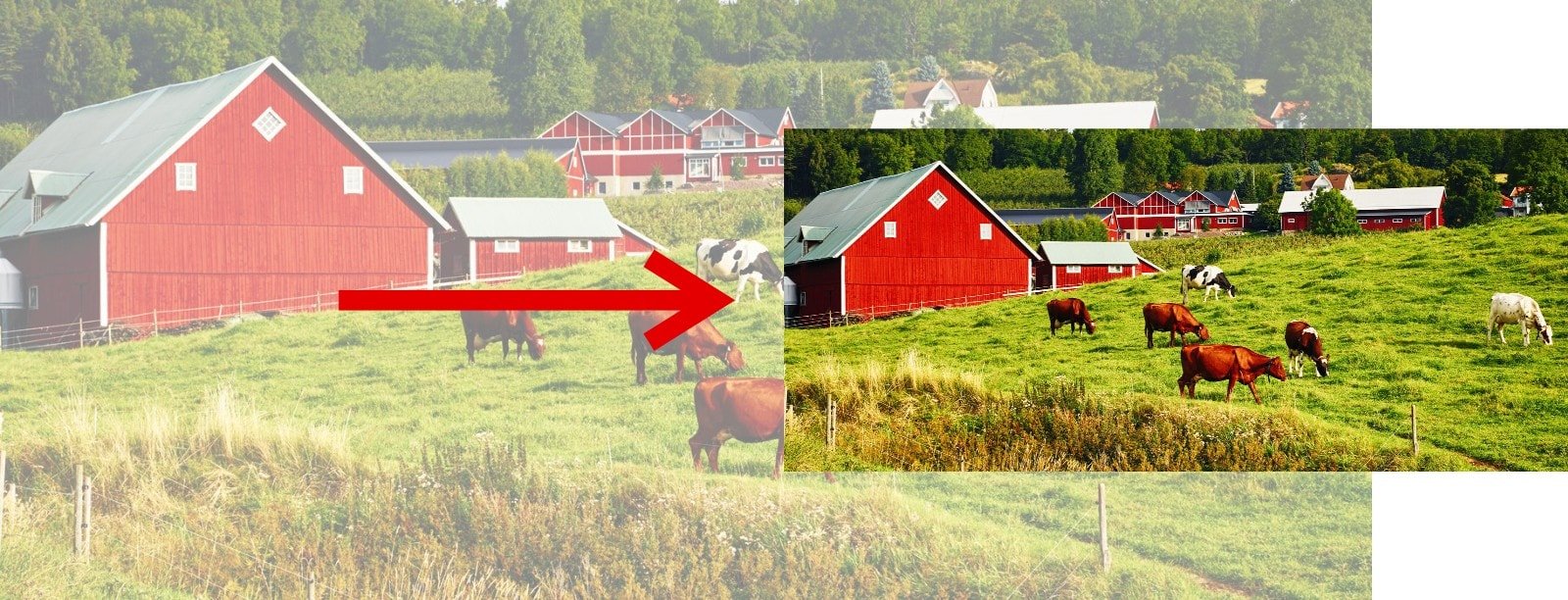 10 Ways to Protect Images From Being Copied